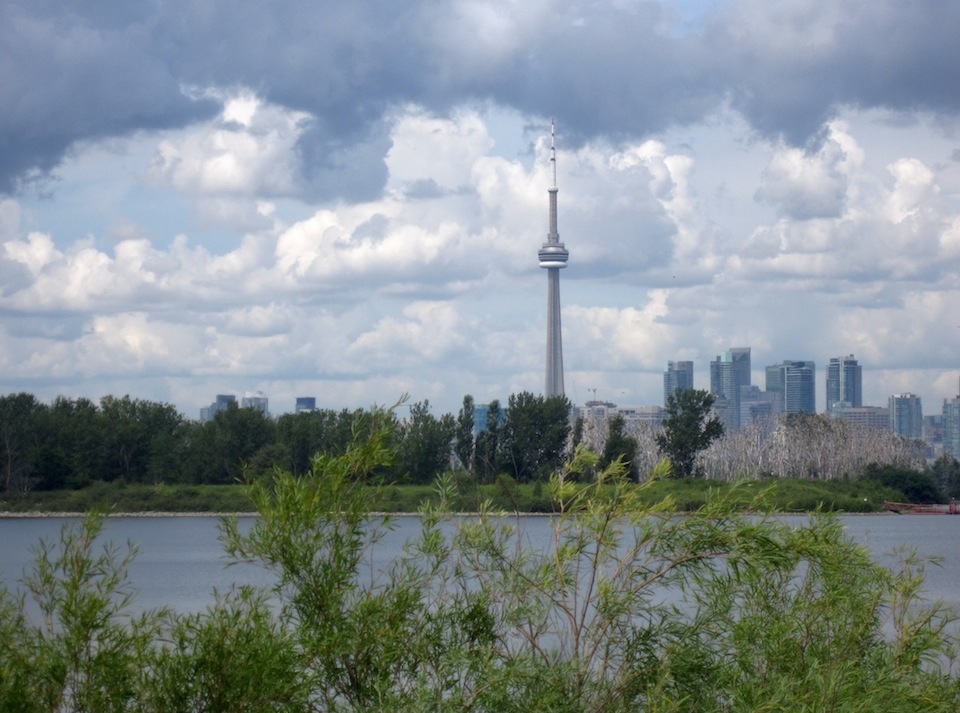 Photo of the Day: Our Modern-Day Forest | UrbanToronto