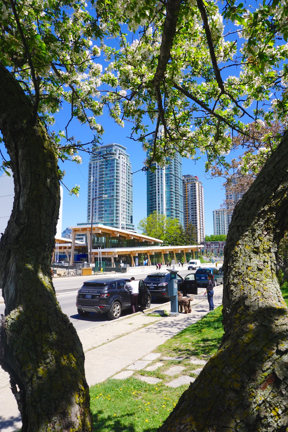 New Library Opens at Scarborough Civic Centre | UrbanToronto