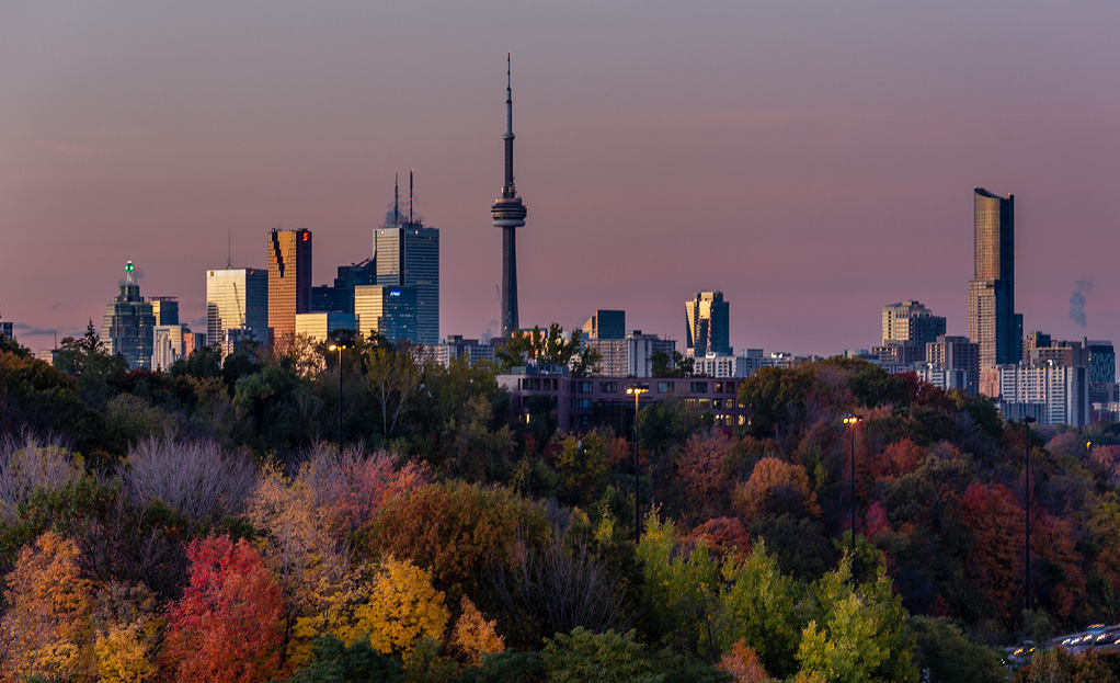 Photo of the Day: Autumn Sunrise Skyline | UrbanToronto