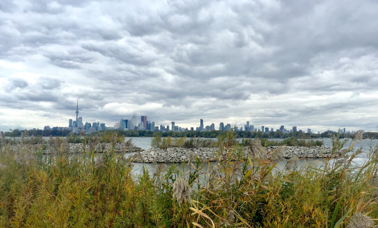 Photo of the Day: City in a 'Natural' Setting | UrbanToronto