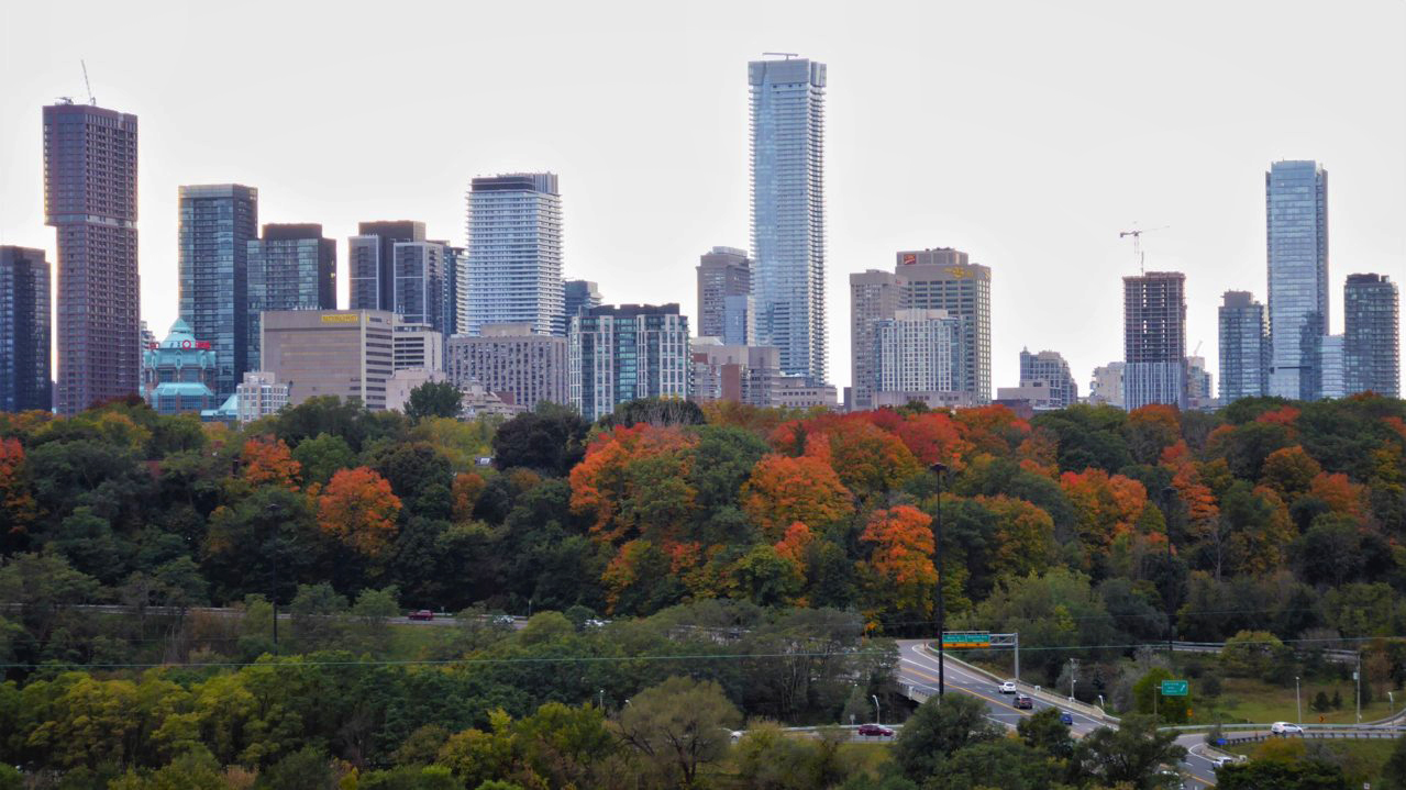 Photo of the Day: Don Valley Colours | UrbanToronto