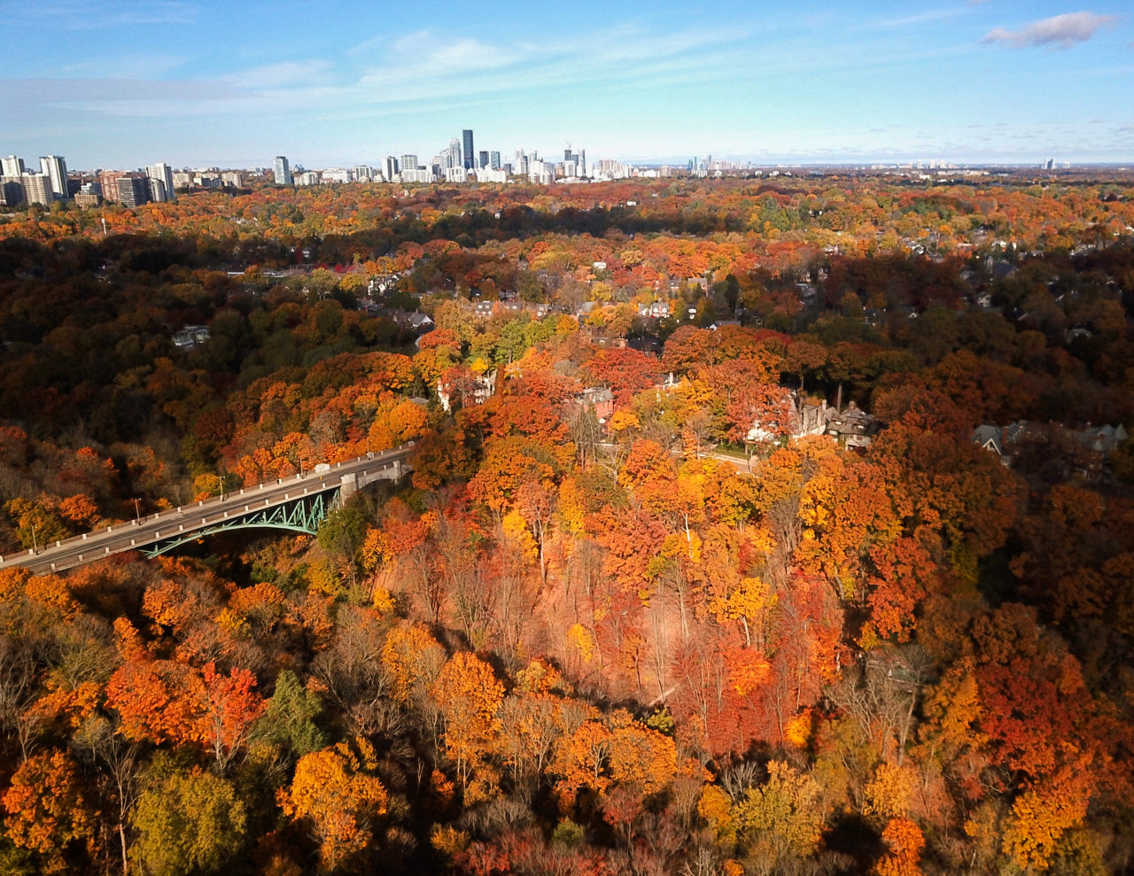 Photo of the Day: Colourful Canopy | UrbanToronto