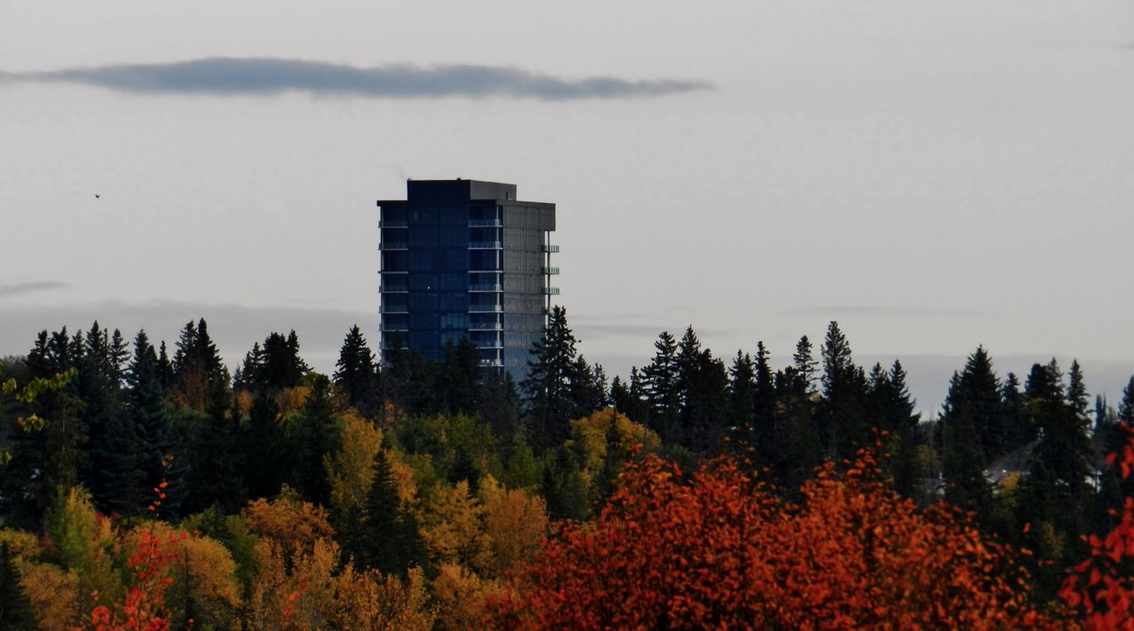 Fall Foliage | SkyriseEdmonton