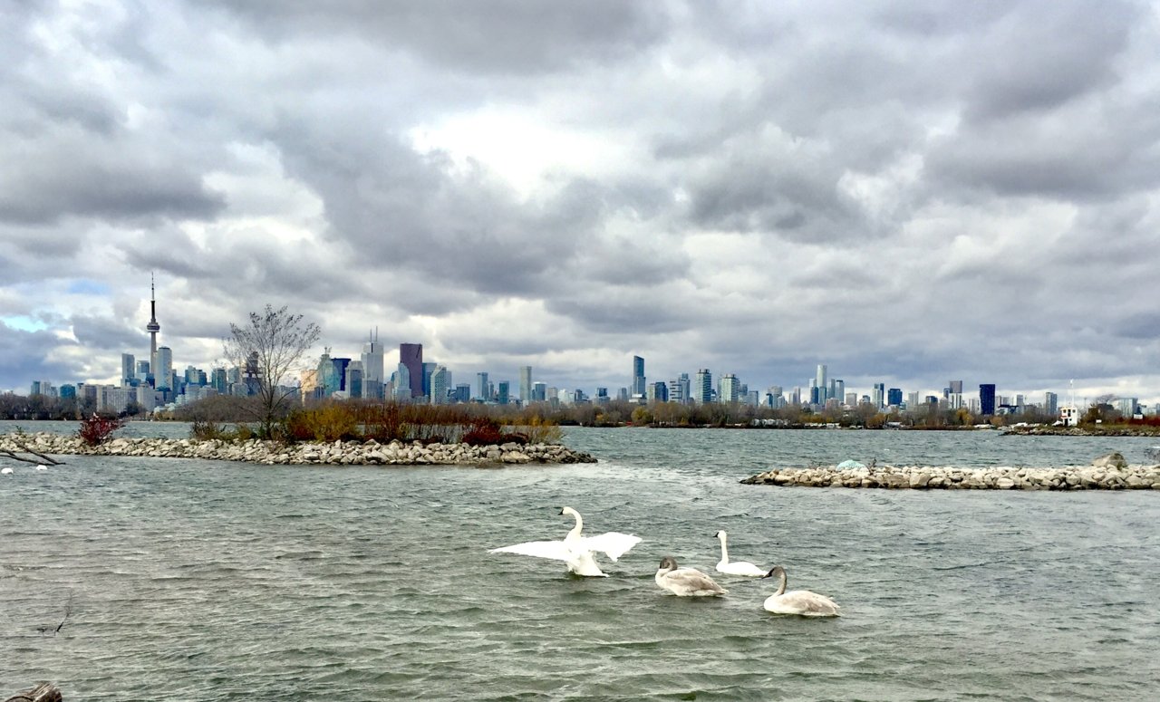 Take Our Survey: UrbanToronto Seeking Your Input! | UrbanToronto