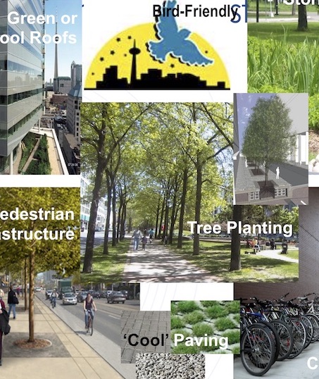 Explainer: The Current Toronto Green Standard | UrbanToronto