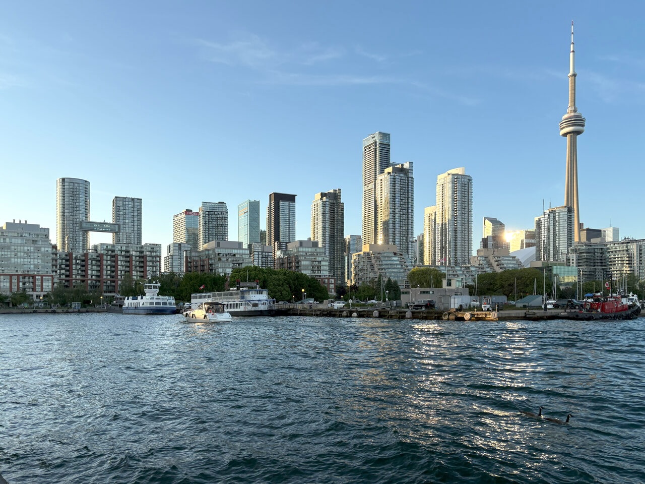 Bathurst Quay to Towers | UrbanToronto