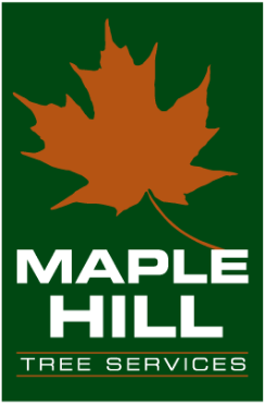 Maple Hill Tree Services | UrbanToronto